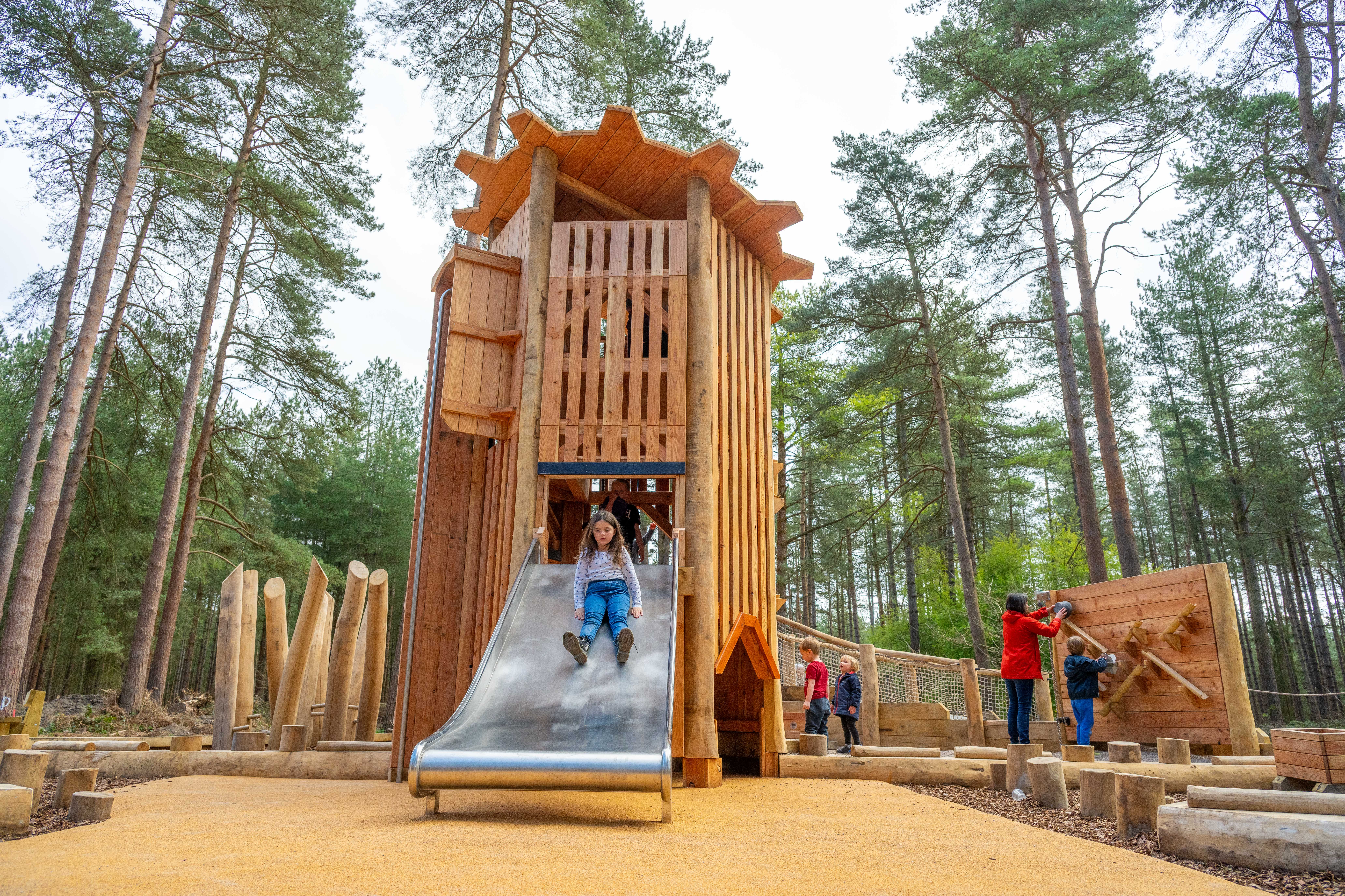 Play Areas In The Forest Forestry England